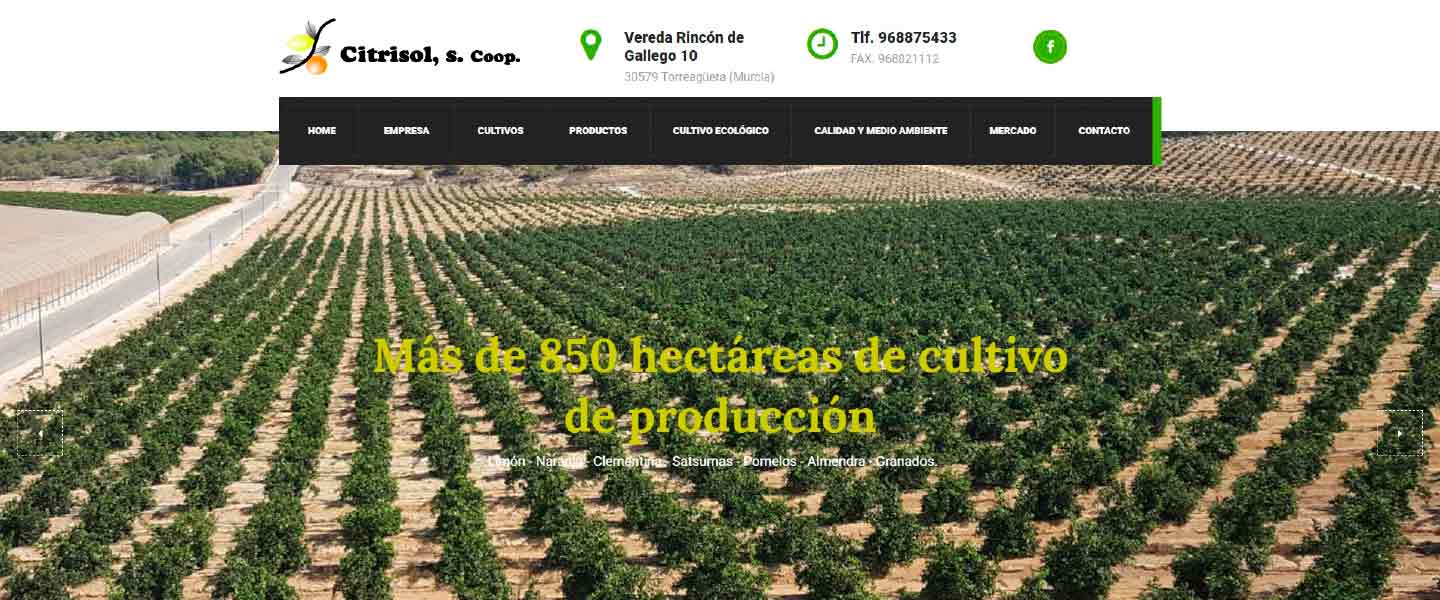 Citrisol | Mark-Sonoma